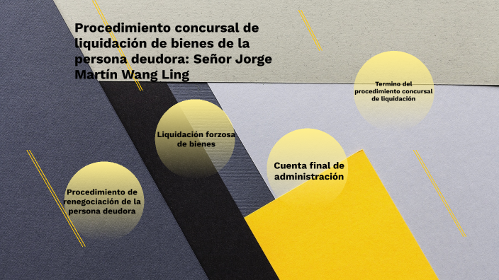 Procedimiento concursal de la persona deudora: Liquidación JORGE MARTIN ...