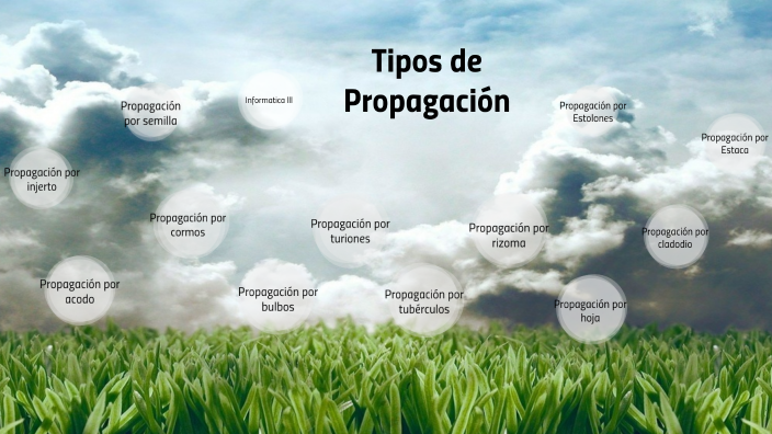 tipos de propagacion by maynor aldair palacios arita on Prezi