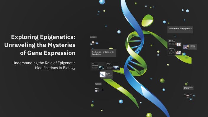 Exploring Epigenetics: Unraveling the Mysteries of Gene Expression by Erik Ceferino Lagrimas on ...