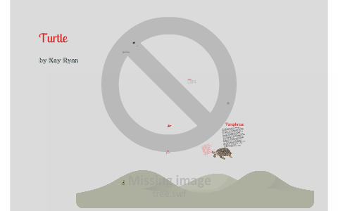 Turtle By Kay Ryan by Akash Patel on Prezi
