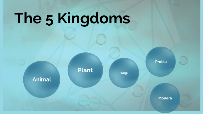 The 5 kingdoms by Marcus Ye on Prezi