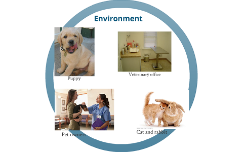 Speech visuals by Megan Darr