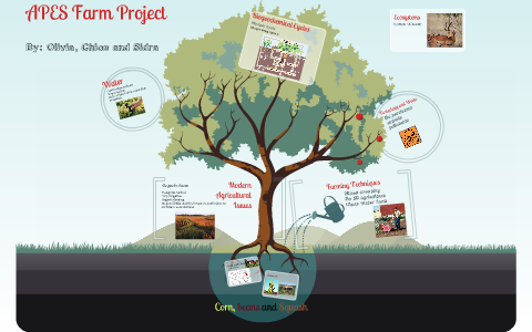 Apes sustainable farm project by Liv F on Prezi