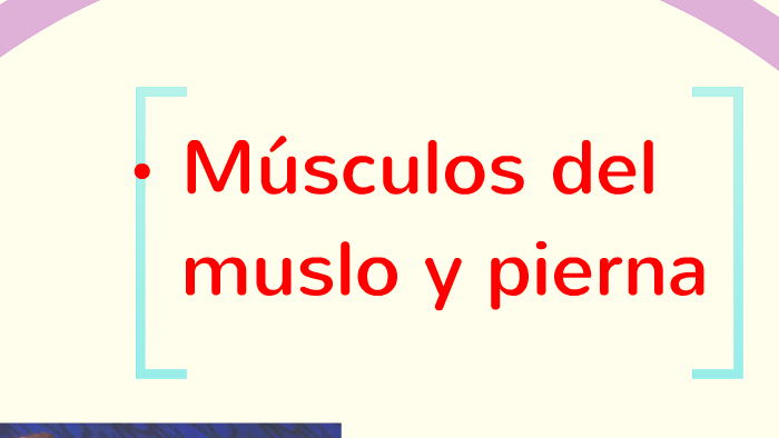 Músculos de la pierna y muslo by Andres Manahwre Colin Acosta on Prezi