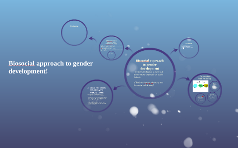 Biosocial approach to gender development by Harriet Edwards on Prezi