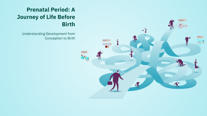 Prenatal Period: A Journey of Life Before Birth by CHRIS LYN LuCERO on ...