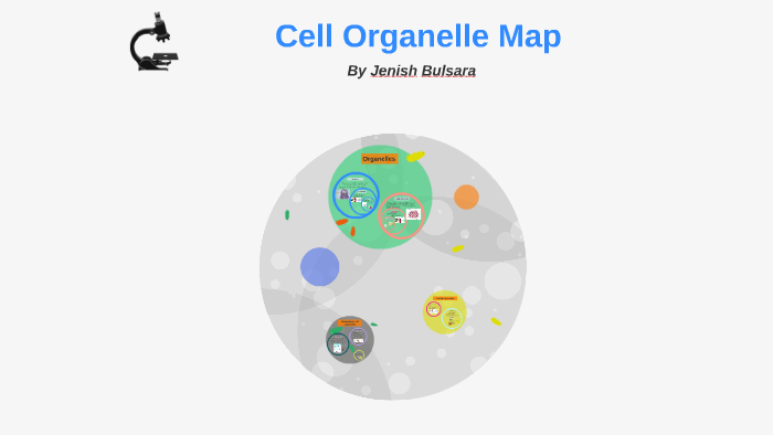 Cell organelle map by Jenish B on Prezi