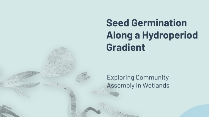 Seed Germination Along a Hydroperiod Gradient by Ayesha Munshi on Prezi