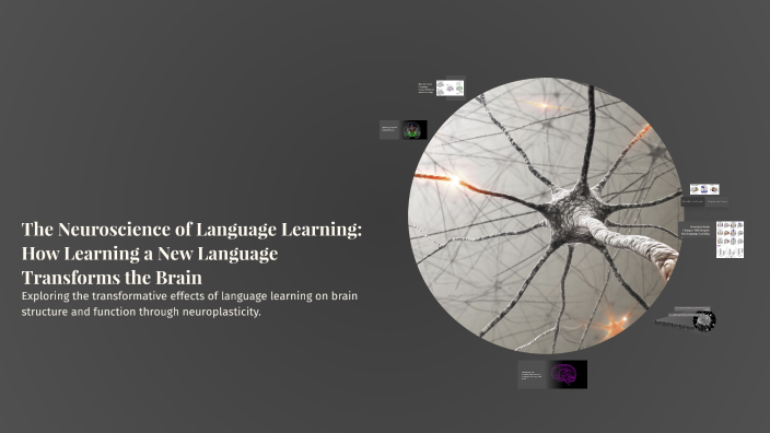 The Neuroscience of Language Learning: How Learning a New Language ...