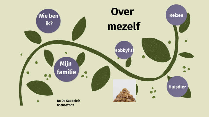 Over mezelf by Bo De Saedeleir on Prezi
