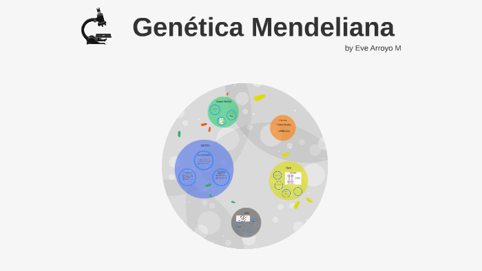 Genética Méndeliana by Evelyn Arroyo on Prezi