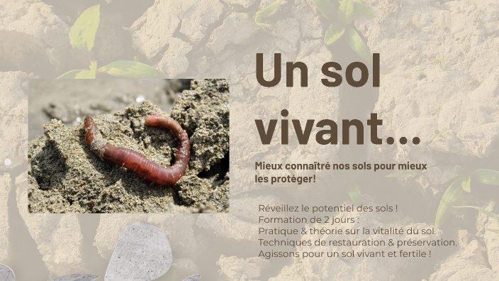 Diaporama de Formation des Sols by SIMON PREVOST on Prezi