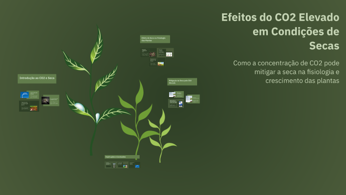 Efeitos do CO2 Elevado em Condições de Secas by carolina vieira on Prezi