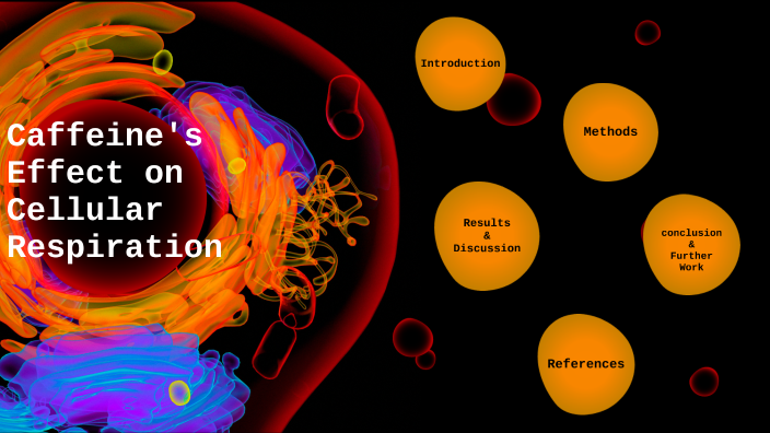 Caffeine's Effect on Cellular Respiration by Luke Cole on Prezi