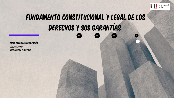 fundamento constitucional y legal de los derechos y sus garantías by ...