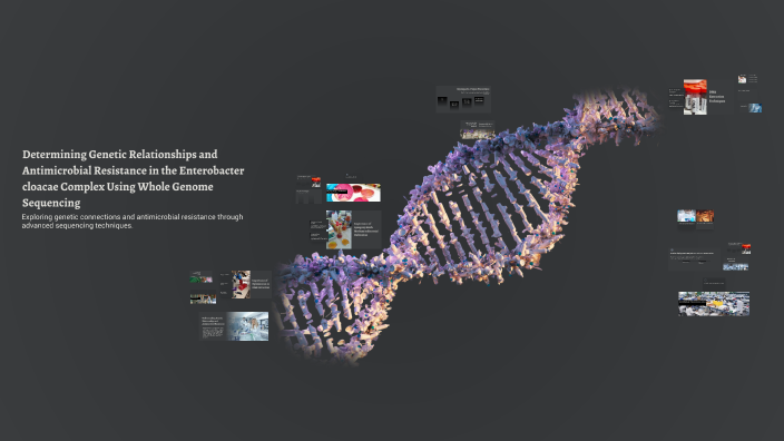 Determining Genetic Relationships and Antimicrobial Resistance in the ...