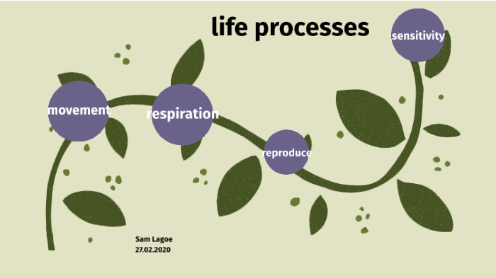 life process by Sam Lagoe on Prezi