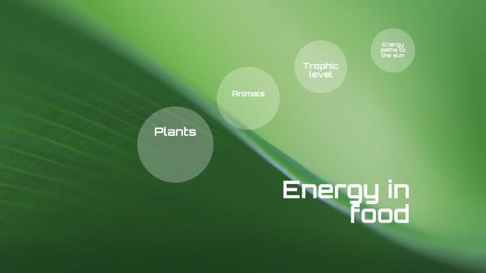 Topic 8 : Energy and Food. lesson 1: Energy in food by youssab elia on ...