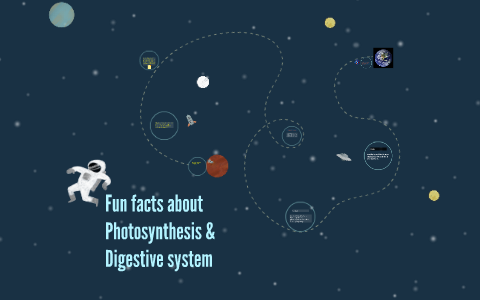 Fun facts about Photosynthesis & Digestive system by Roman Army on Prezi
