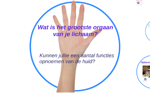 Wat is het grootste orgaan van je lichaam? by Floortje Zengerink