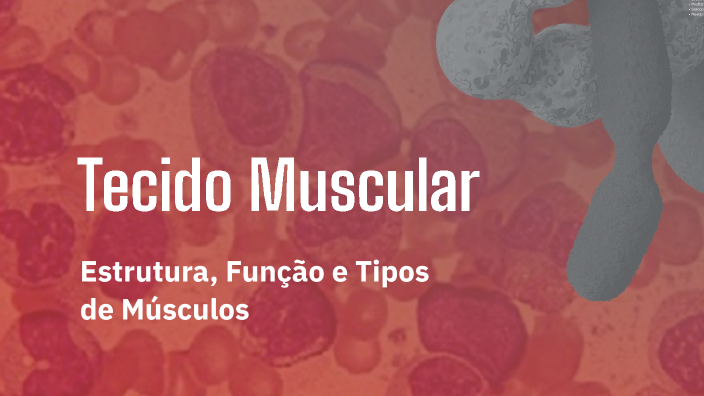 Tecido Muscular by Philipy Gabriel on Prezi