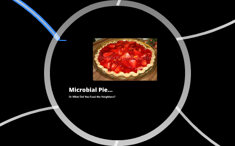 Miss emma cleans well. How is it that some e. coli survived by Benjamin ...