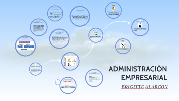 MATRIZ DE PORTAFOLIO by brigitte alarcon on Prezi