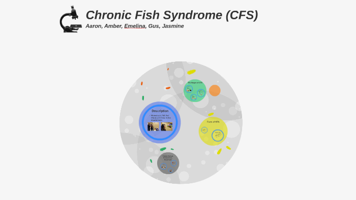 Chronic Fish Syndrome (CFS) by Amber Rosales on Prezi
