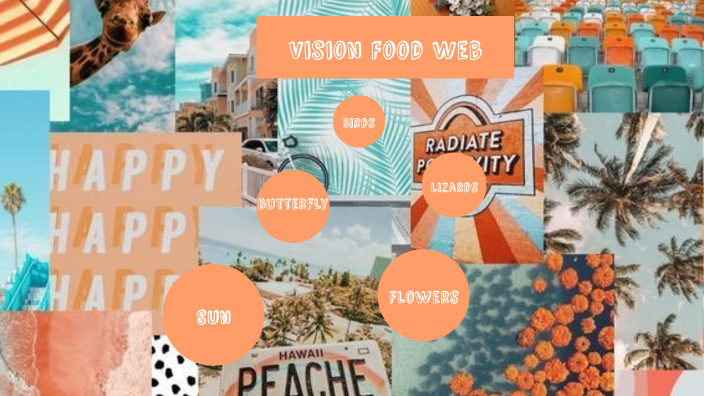 Vision Food Chain by 27ava butz on Prezi