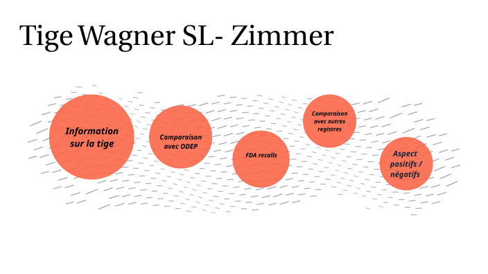 Tige Wagner SL - Zimmer by camille schnieper on Prezi