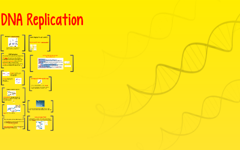 DNA Replication by Emily Kehoe on Prezi