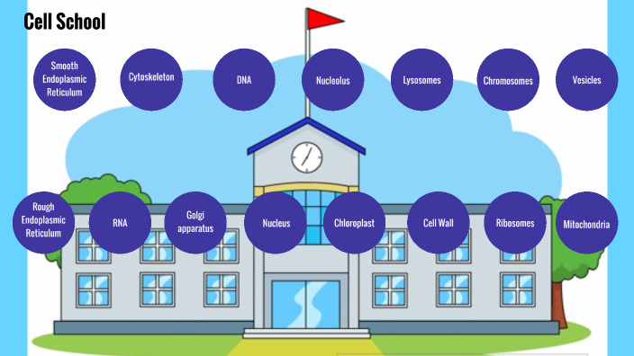 Cell school by Jackson Adams on Prezi