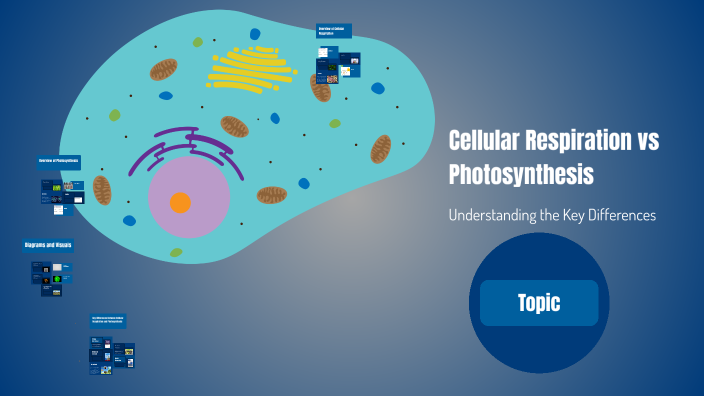 Cellular Respiration vs Photosynthesis by Luis Villarreal on Prezi