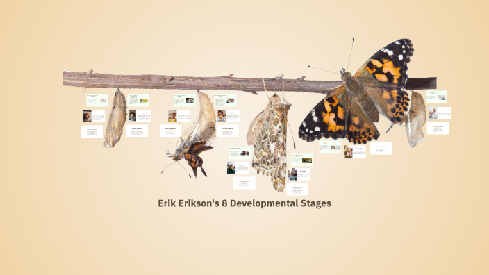 Erik Erikson's Stages of Development by Addison Weaver on Prezi