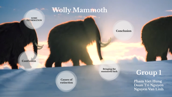 Mammoth presentation by Văn Linh Nguyễn on Prezi