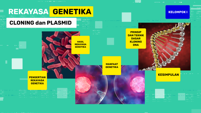 KELOMPOK 1 : REKAYASA GENETIKA, CLONING dan PLASMID by Andri Azwar ...
