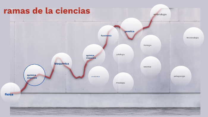 ramas de la ciencias by Wiston Matarrita on Prezi