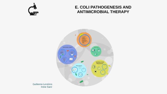 E. Coli Pathogenesis and Antimicrobial Therapy by on Prezi