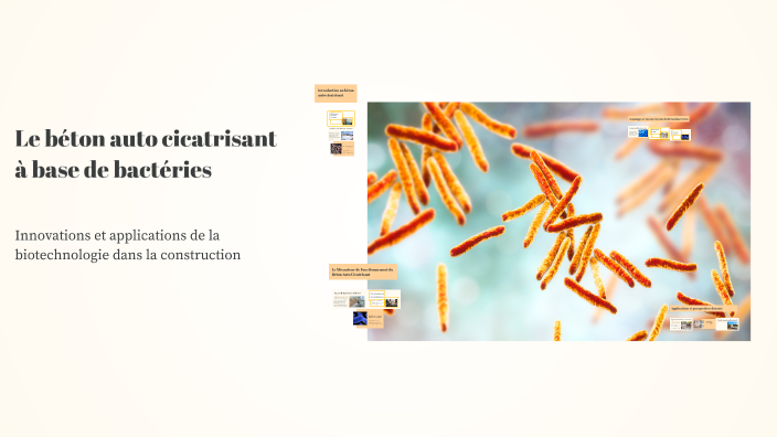 Le béton auto cicatrisant à base de bactéries by Salma Hassine on Prezi