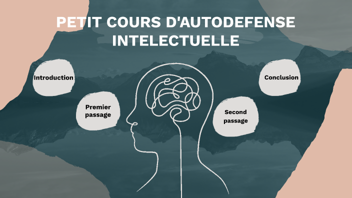 PCAI by Antoine HENRIQUEZ on Prezi