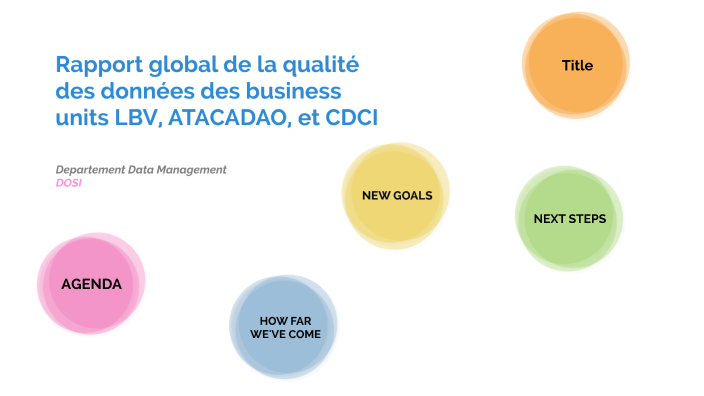 Rapport global de la qualité des données des business units LBV ...