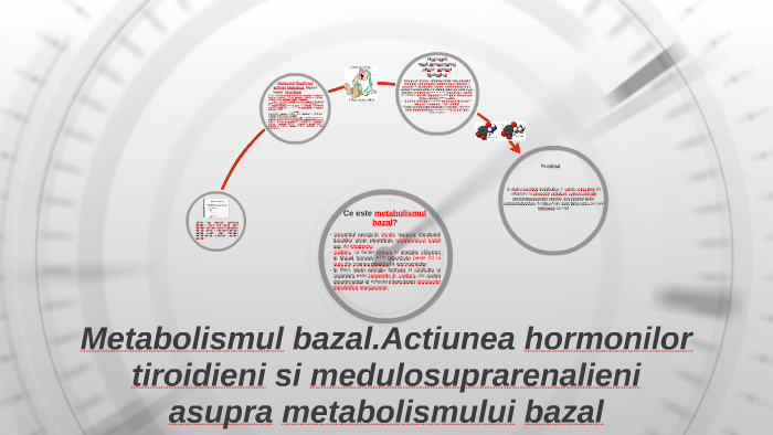 Ce este metabolismul bazal? by Gabriella Diana on Prezi