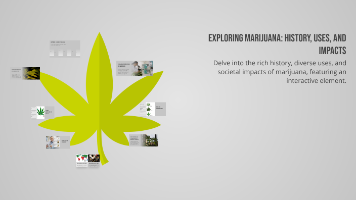 Exploring Marijuana: History, Uses, and Impacts by Jean Levy on Prezi
