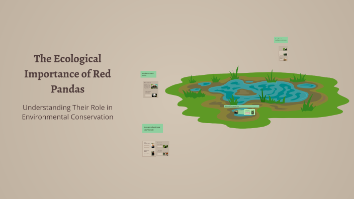 The Ecological Importance of Red Pandas by Catloaf on Prezi