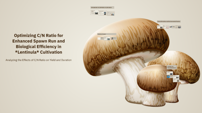 Optimizing C/N Ratio for Enhanced Spawn Run and Biological Efficiency ...