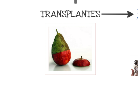 02x04 Transplantes y celulas madres by Ruben Ruano on Prezi