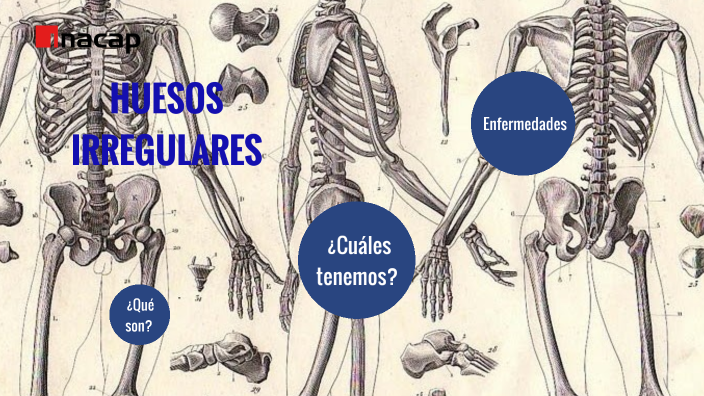 Huesos Irregulares by Melissa Miño on Prezi