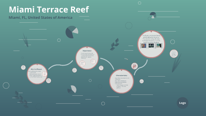 Miami Terrace Reef by Jack Drew on Prezi
