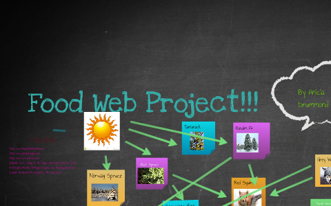 Food Web Project!!! by on Prezi