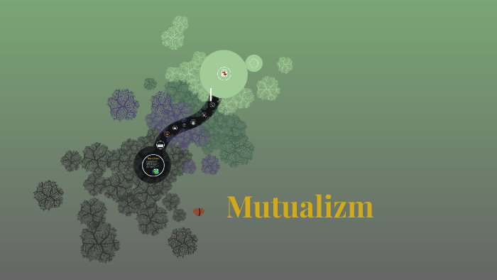 Mutualizm Obligatoryjny by Zofia Ginszt on Prezi